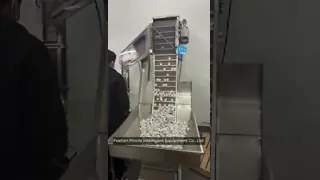 3 cavities cap liner insertion machine with 0.37kw total power and stainless steel finish