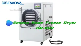 220v countertop freeze dryer 4kg food freeze dryer for home use