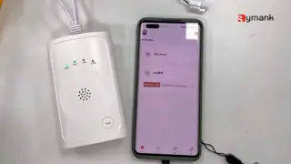 5 year smart wifi gas detector wall mounted tuya gas leak detector with real time monitoring