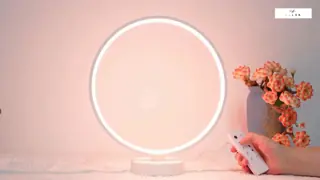 24w customized led light 10000 lux ring lamp light adjustable color