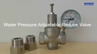songo npt thread piston pressure reducing valve stainless steel 304  pressure control reducing valve