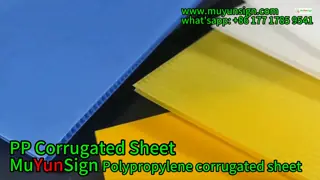 polypropylene corrugated plastic sheet lightweight pp hollow sheet