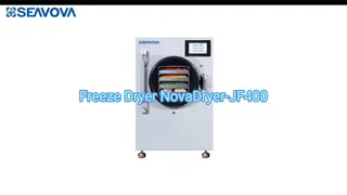 4kg/batch home freeze dryer home lyophilizer with sus304 chamber