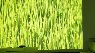 20,000 lumen wuxga laser projector outdoor/indoor 3d projection mapping & immersive events