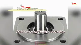 high radial load hydraulic gear motor pgm051 for aerial lift parker torqlink hydraulic motor