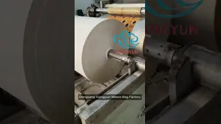customized laminated woven bags gravure printing and for your custom order acceptance guaranteed
