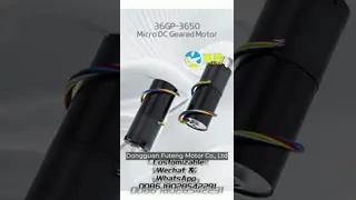 customized ф36mm 12v 24v high efficiency planetary gear motor with large torque for industrial