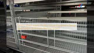 factory direct supply poultry house equipment design specification automatic feeding system