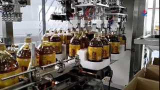 integrated tying and boxing bundle packing machine 180cases/hour yqzxkb-500