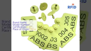 rfid pig ear tag lf 134.2khz animal ear tags with long reading distance capabilities