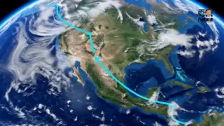 canadian customs clearance service fast track express delivery service