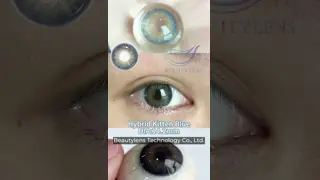 hybrid kitten blue colored contact lens with 40% water content and base curve 8.5 for yearly wear