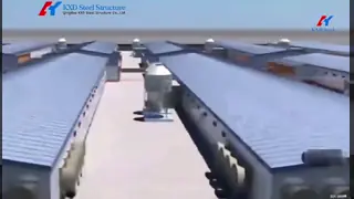 sreel structure poultry shed with automatic equipment for hens