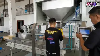 100kg double head linear weighing machine weigh filler packaging bagging odm