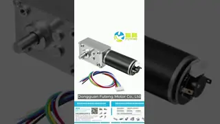 full metal high torque 12v 24v worm gear motor with self-locking function ft-58sgm31zy  application