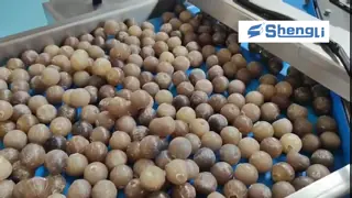 double twist candy wrapping machine 280-300pcs/min double twist packing machine