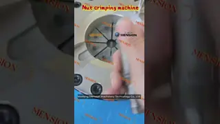 ms-51sm automatic nut crimping machine with 600t crimping force 800pcs/h work efficiency and 0.01mm