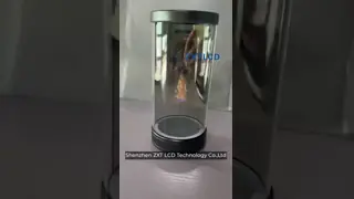 oem 5.5 inch indoor 3d ai digital interactive hologram showcase holographic display cabinet 170 view