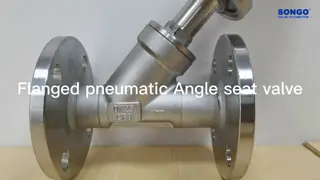 flange angle seat pneumatic actuator valve 25 bar ss304 spring return air water steam 145degree