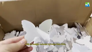 acrylic mirror cut to size custom shape laser cut acrylic mirror sheet butterfly-shaped acrylic