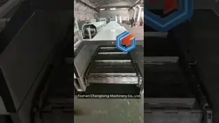 industrial use chain plate conveyor with large conveying capacity