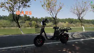 electric mountain bike 16 inch fat tire foldable e bike 1000w motor 48v20ah lithium battery electric