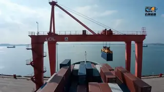 lcl sea freight transportation customs clearance global coverage real time tracking