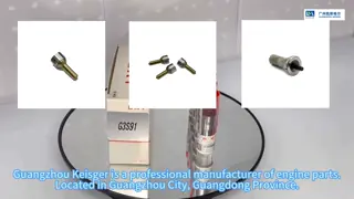dlla134p2367 fuel injection pump nozzle for diesel engines