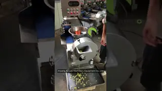 300kg/h-500kg/h industrial vegetable cutting machine industrial potato cutter