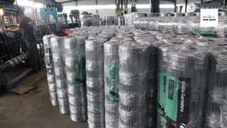 1.2 meter height farm wire mesh fence grassland fencing  erosion resistant