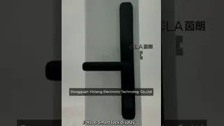 ela high quality waterproof intelligent lock outdoor aluminum double-sided fingerprint door lock
