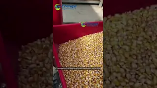 Multi Function Forage Pulper Machine Diesel Power Straw Pulping Equipment