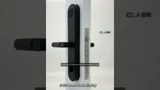 ela e-595 high quality tuya wifi digital fingerprint keyless access smart home handle lock