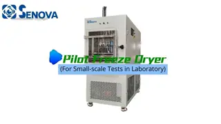 10kg pilot freeze dryer plc touch screen laboratory freeze dryers