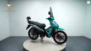 60v pmsm electric motorcycle with 166n・m high torque and removable lithium battery