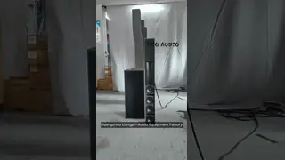 professional column speaker 6x5 inch 300w ultra slim colinear system