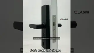 ela e-551 biometric fingerprint smart lock hotel door lock with electric feature for smart homes