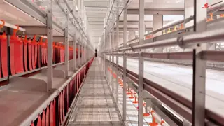 30000 birds cage free system supporting natural behaviors and operations