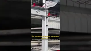 6-10 tiers high reliability layer chicken cage system with 700mm story height for indonesia farms