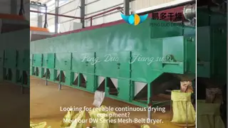ss hot air circulation drying oven dw series hot air circulation mesh belt dryer