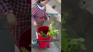 vegetable chopping machine reinforced design high speed root cutter