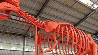 fiberglass sculpture life size dinosaur skeleton model resin crafts