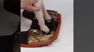 winter cotton padded waterproof pet jacket outdoor thickened pet clothing with traction