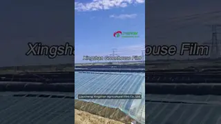 100 micron po polyolefin film uv stabilized agricultural greenhouse plastic cover
