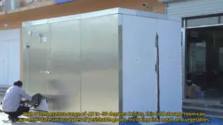 solar power cold room storage with customizable appearance, adjustable temperature, and zero-carbon
