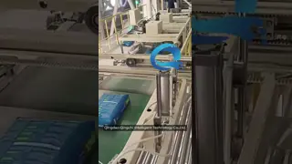 high level palletizing line industrial palletizer equipment fully automatic