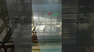 agricultural pe film anti fog uv resistant pe greenhouse cover