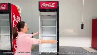 commercial refrigerator display freezer with swing door, high-efficiency cooling and tempered glass