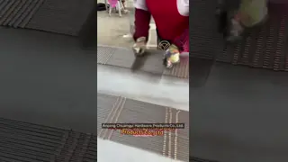 flexible stainless steel wire rope mesh with high strength corrosion resistance