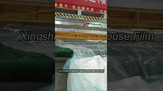 anti fogging anti drip po greenhouse cover film cold resistant